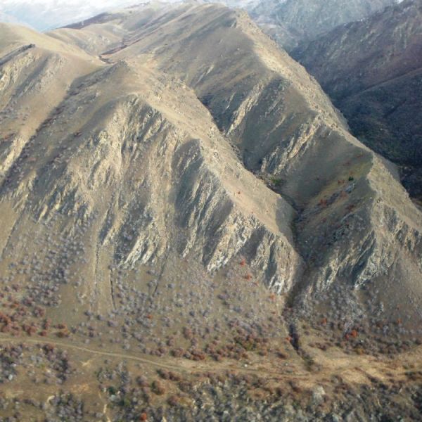 Mt Difficulty Ascent - Wild Things