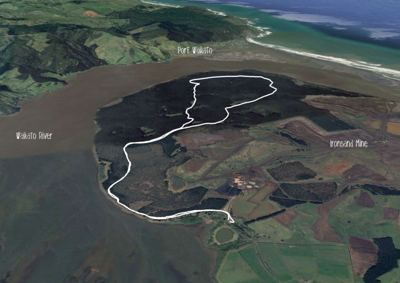 Waiuku Forest Intro, Waiuku - Trail Run Directory - Wild Things