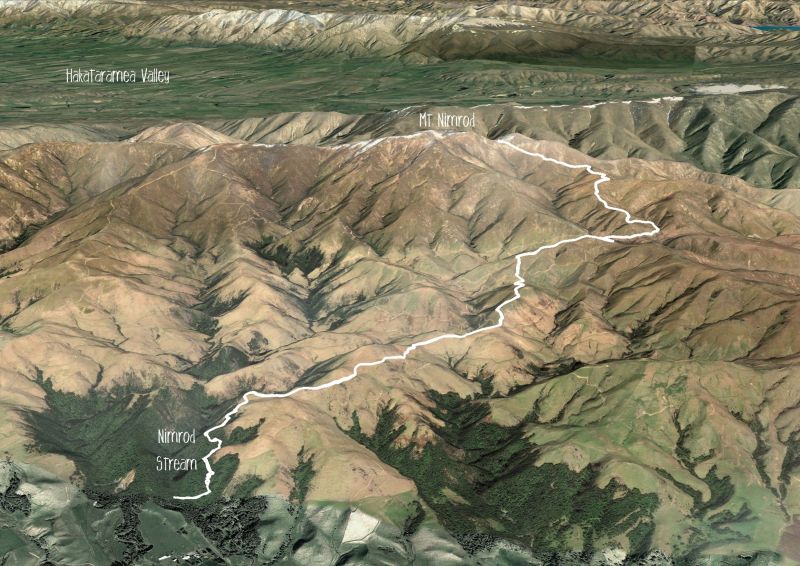 Mt Nimrod Easement Track, Timaru - Trail Run Directory - Wild Things