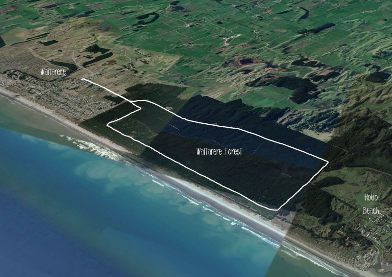 Waitarere Forest, Levin - Trail Run Directory - Wild Things