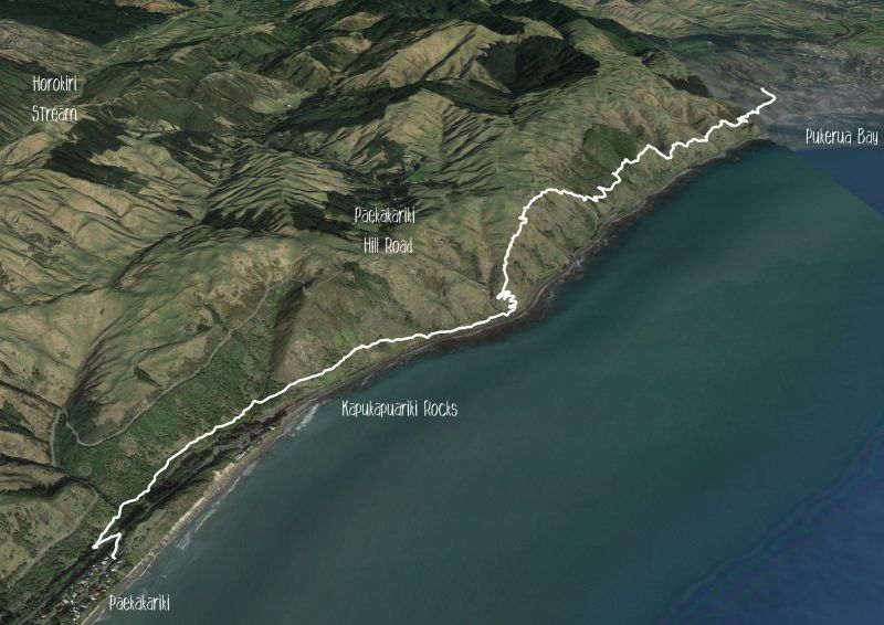 Escarpment Track, Paekakariki - Trail Run Directory - Wild Things