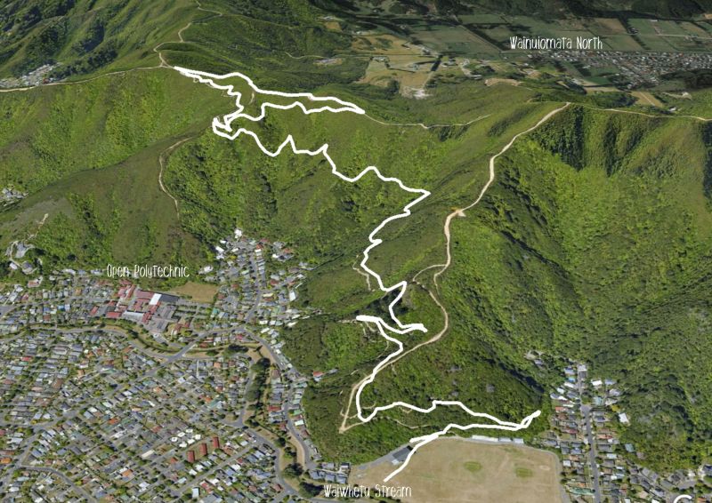 Te Whiti Riser, Lower Hutt - Trail Run Directory - Wild Things