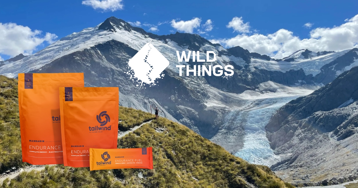 Tailwind Endurance Fuel Mandarin Orange - Non-Caffeinated - Wild Things