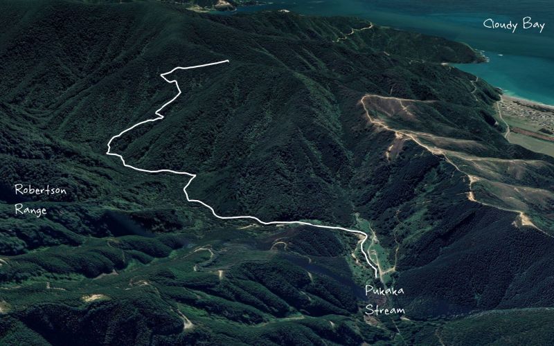 Pukaka Valley Track, Blenheim - Trail Run Directory - Wild Things