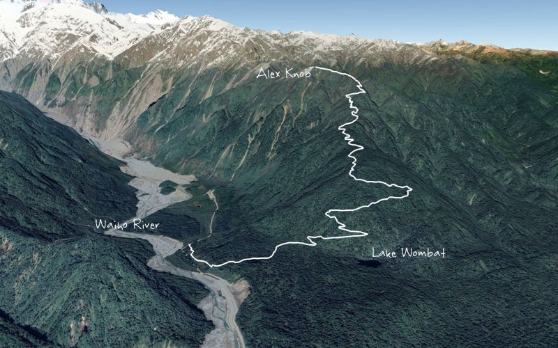 Alex Knob, Franz Josef Glacier - Trail Run Directory - Wild Things