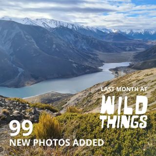 Wild Things: New Zealand's trail running community