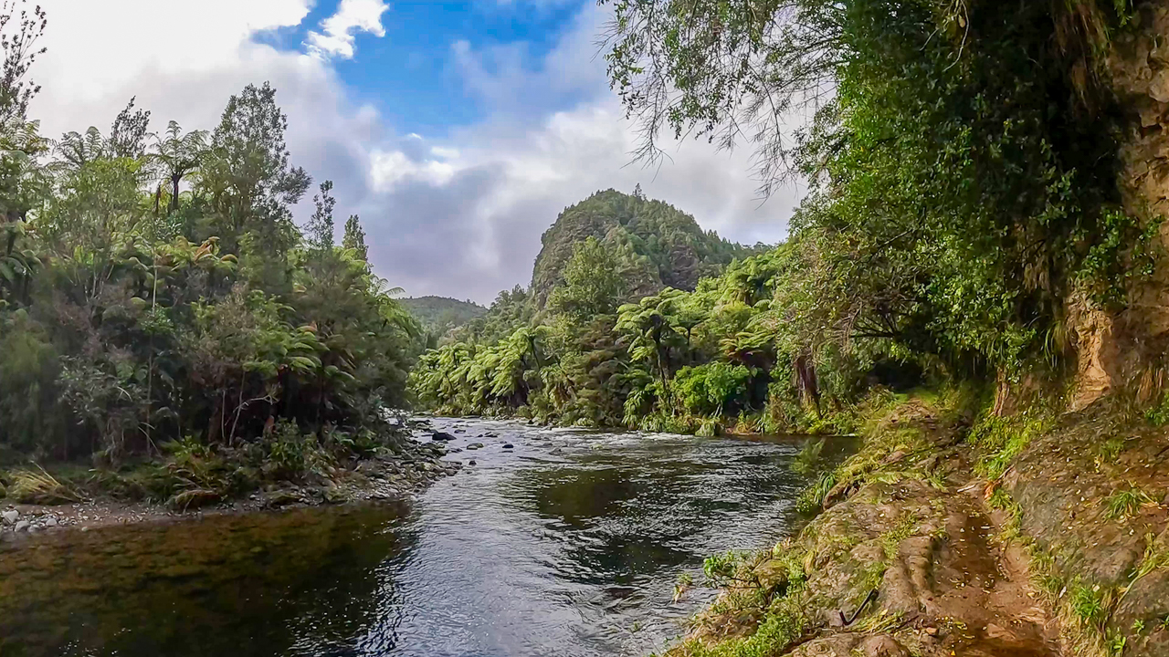 Waitawheta Tramway - Bogeys and Bluffs, Waikato - Trails Photo Gallery ...