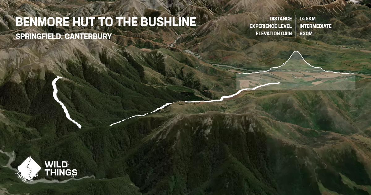 Benmore Hut to the bushline, Canterbury, New Zealand - Trail Running ...