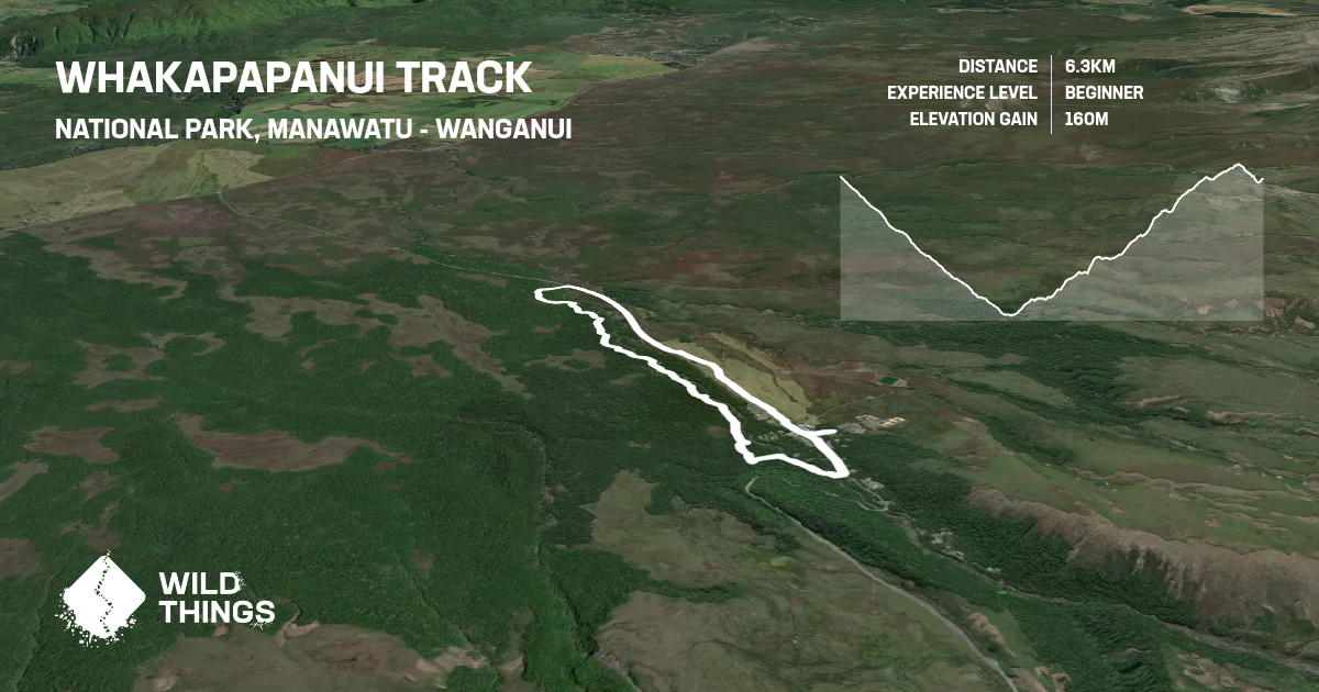 Whakapapanui Track, Manawatu - Wanganui, New Zealand - Trail Running ...