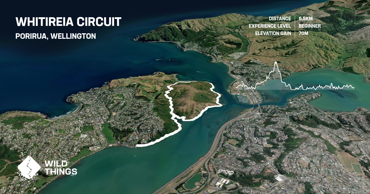 Whitireia Circuit, Wellington, New Zealand - Trail Running Directory ...