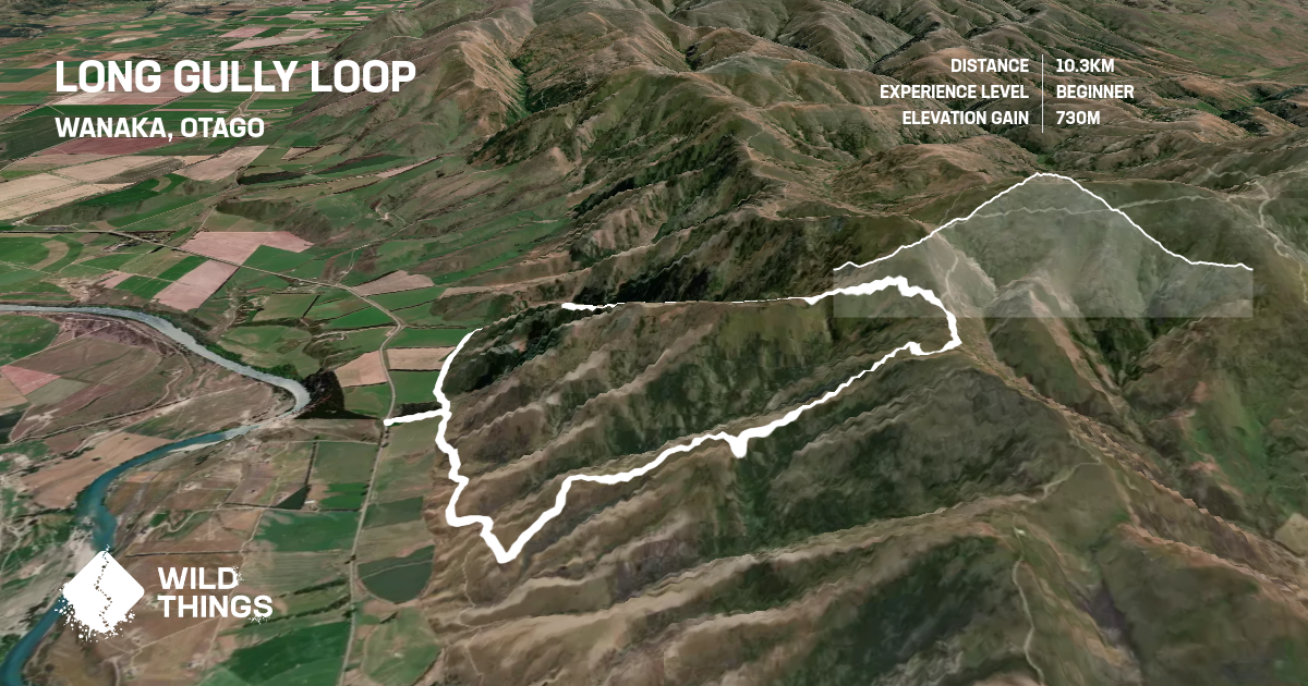 Long Gully Loop, Otago, New Zealand - Trail Running Directory - Wild Things
