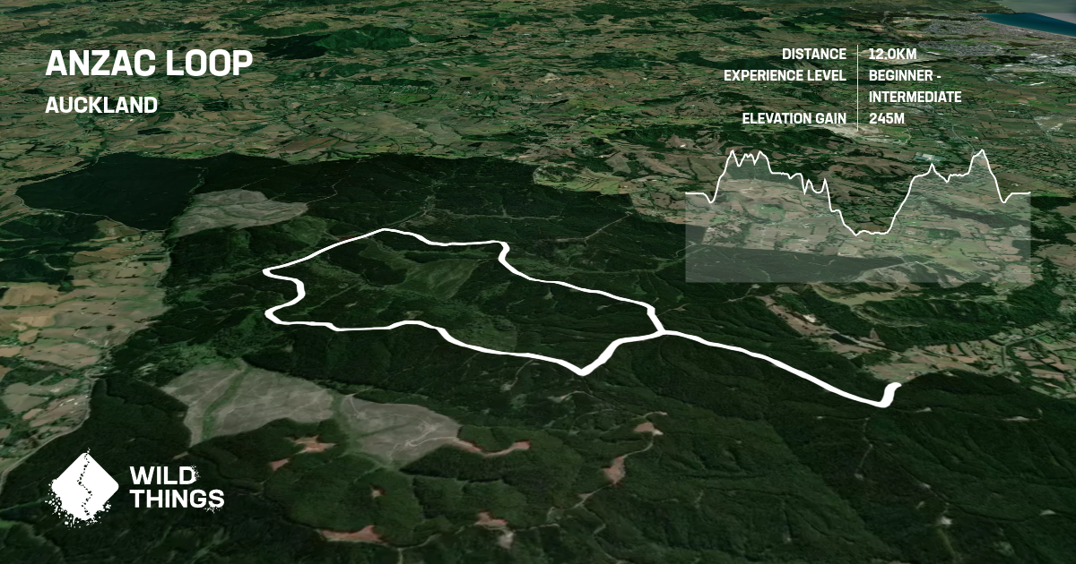 Anzac Loop, Auckland, New Zealand - Trail Running Directory - Wild Things