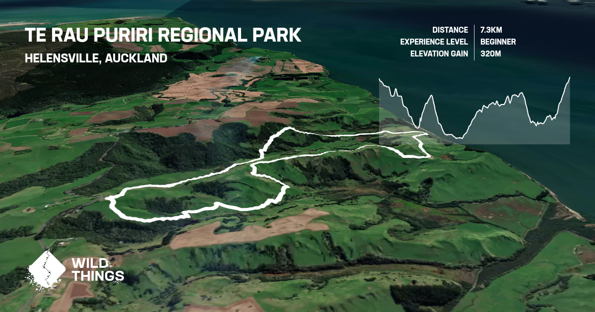 Te Rau Puriri Regional Park, Auckland, New Zealand - Trail Running ...