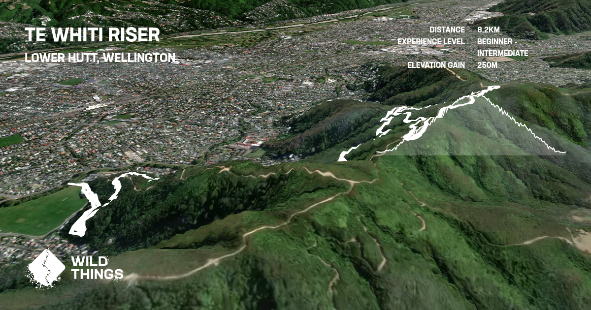Te Whiti Riser, Wellington, New Zealand - Trail Running Directory ...