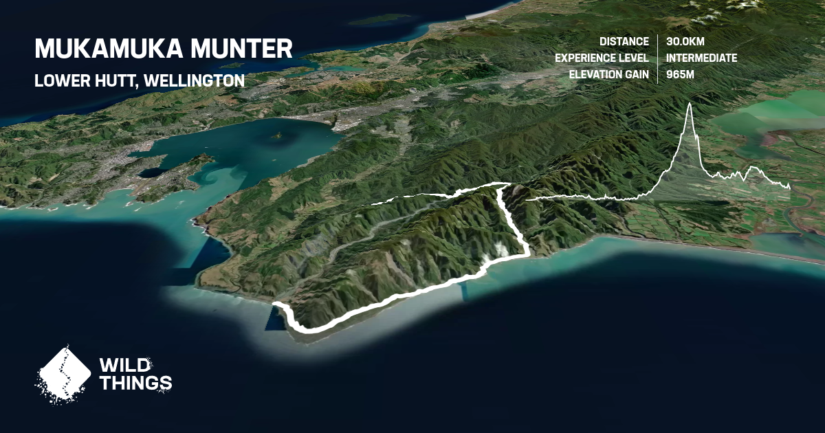 Mukamuka Munter, Wellington, New Zealand - Trail Running Directory ...