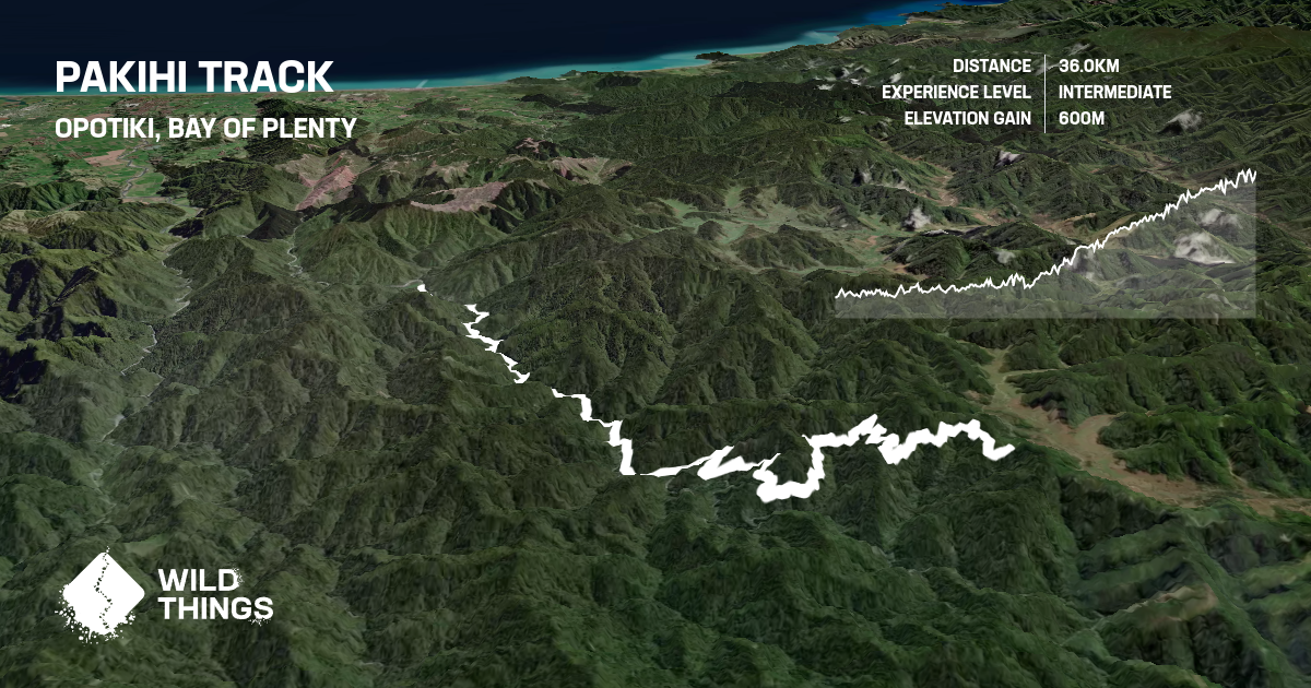 Pakihi Track, Bay of Plenty, New Zealand - Trail Running Directory ...