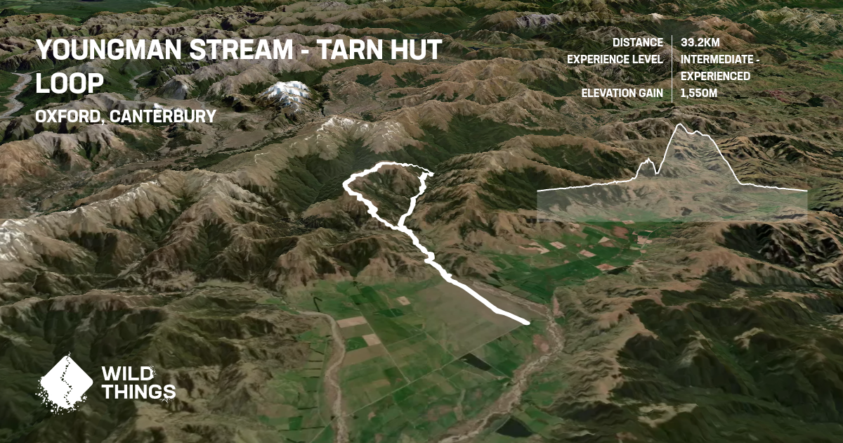 Youngman Stream - Tarn Hut Loop, Canterbury, New Zealand - Trail ...