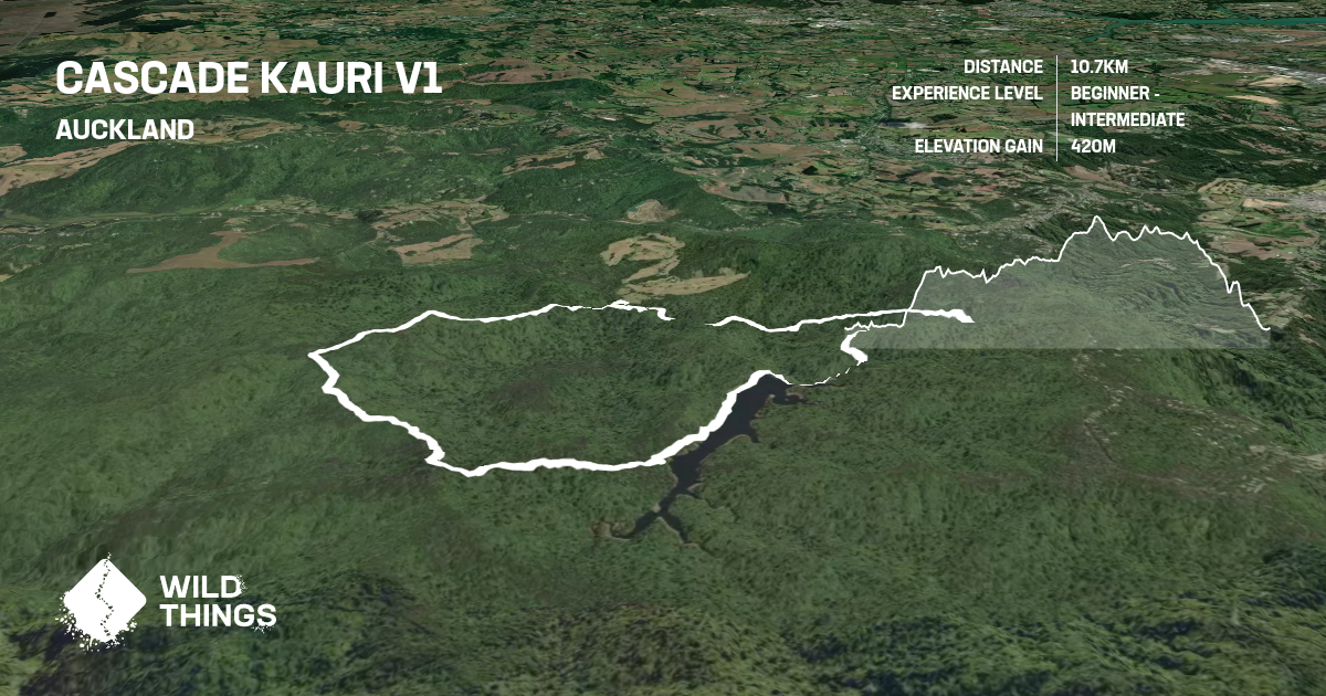 Cascade Kauri V1, Auckland, New Zealand - Trail Running Directory ...