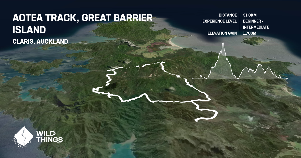 Aotea Track, Great Barrier Island, Auckland, New Zealand - Trail ...