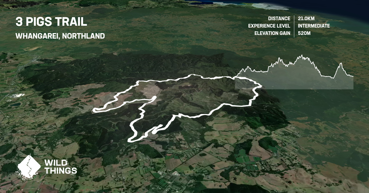 3 Pigs Trail, Northland, New Zealand - Trail Running Directory - Wild ...