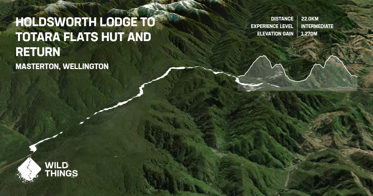 Holdsworth Lodge to Totara Flats Hut and return, Wellington, New ...