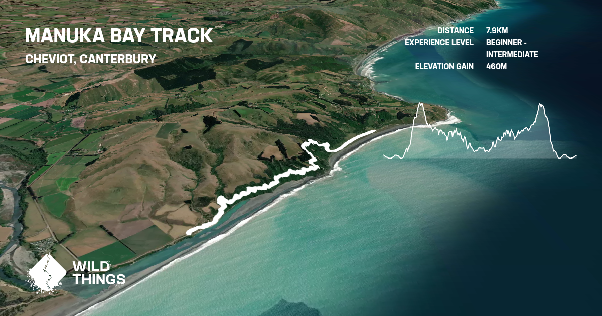 Manuka Bay Track, Canterbury, New Zealand - Trail Running Directory ...