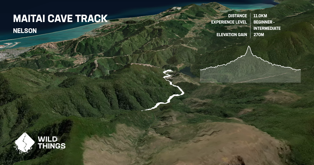 Maitai Cave Track, Nelson, New Zealand - Trail Running Directory - Wild ...