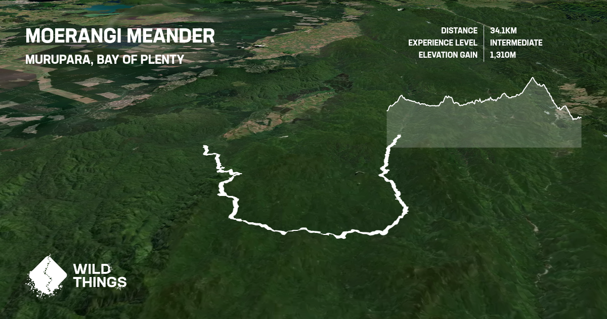 Moerangi Meander , Bay of Plenty, New Zealand - Trail Running Directory ...