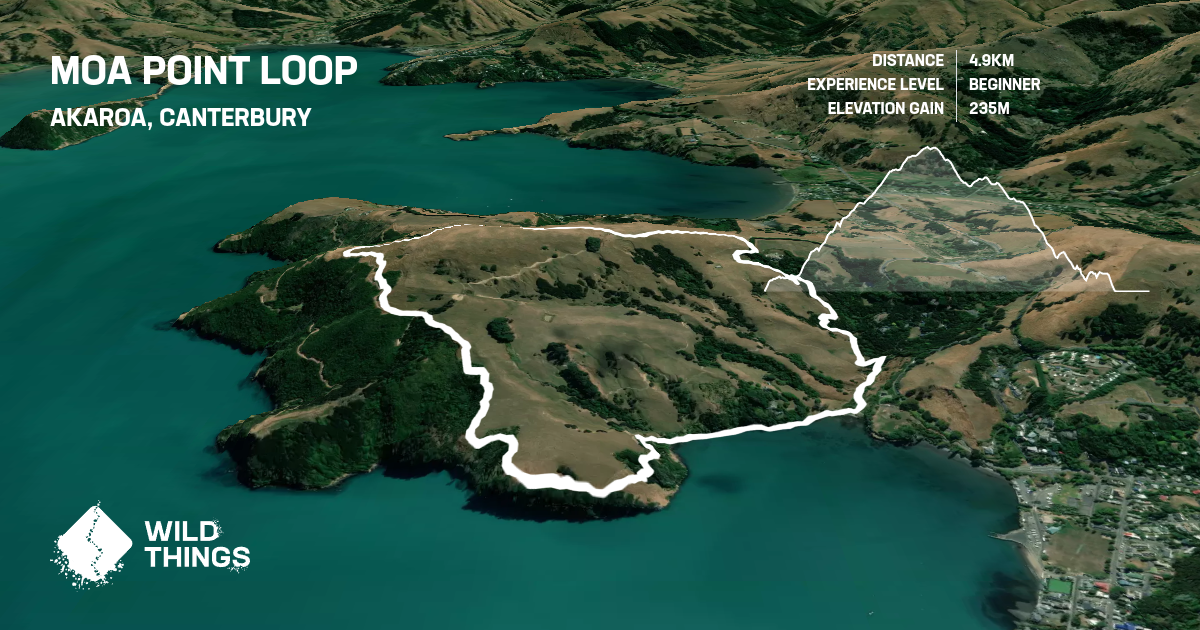 Moa Point Loop, Canterbury, New Zealand - Trail Running Directory ...