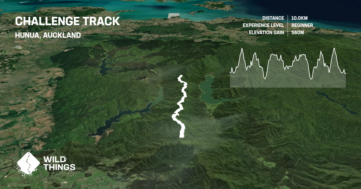 Challenge Track, Auckland, New Zealand - Trail Running Directory - Wild ...