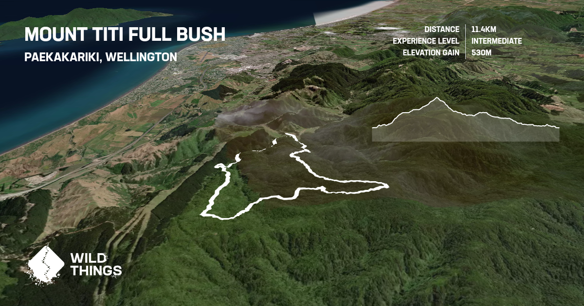 Mount Titi Full Bush , Wellington, New Zealand - Trail Running ...