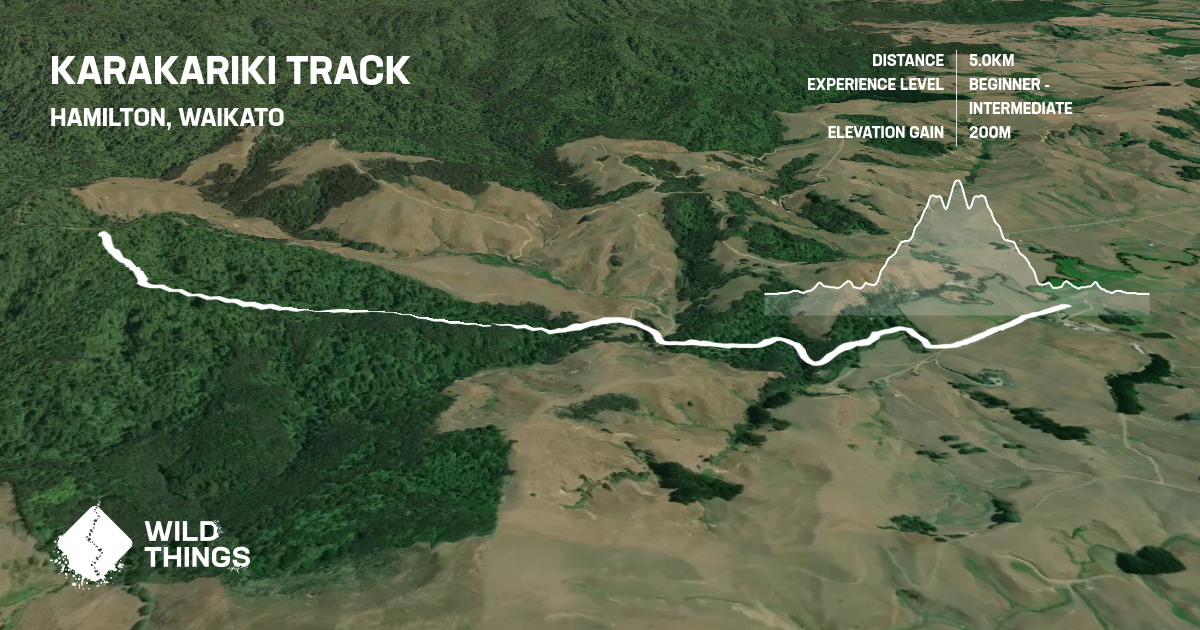 Karakariki Track, Waikato, New Zealand - Trail Running Directory - Wild ...