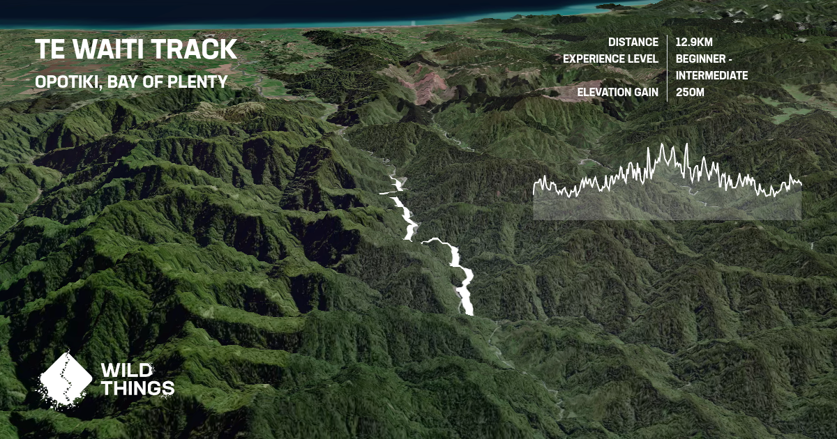 Te Waiti Track, Bay of Plenty, New Zealand - Trail Running Directory ...
