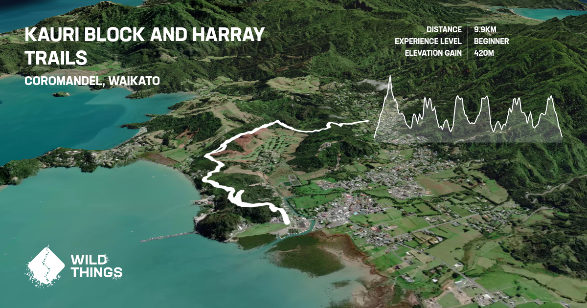Kauri Block and Harray Trails, Waikato, New Zealand - Trail Running ...