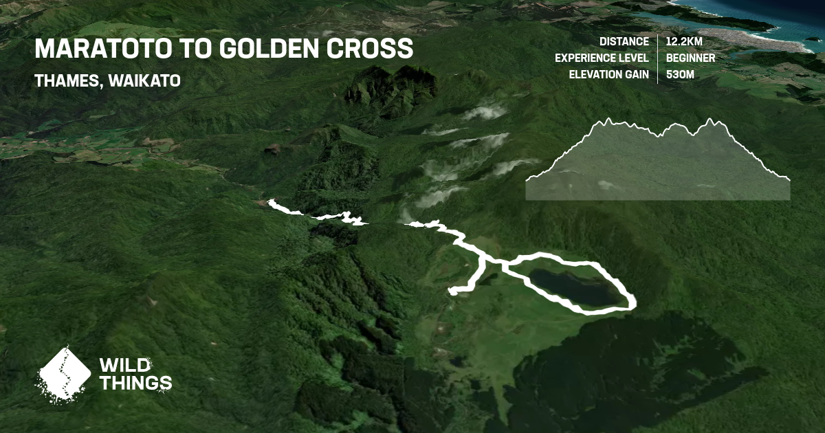 Maratoto To Golden Cross, Waikato, New Zealand - Trail Running ...