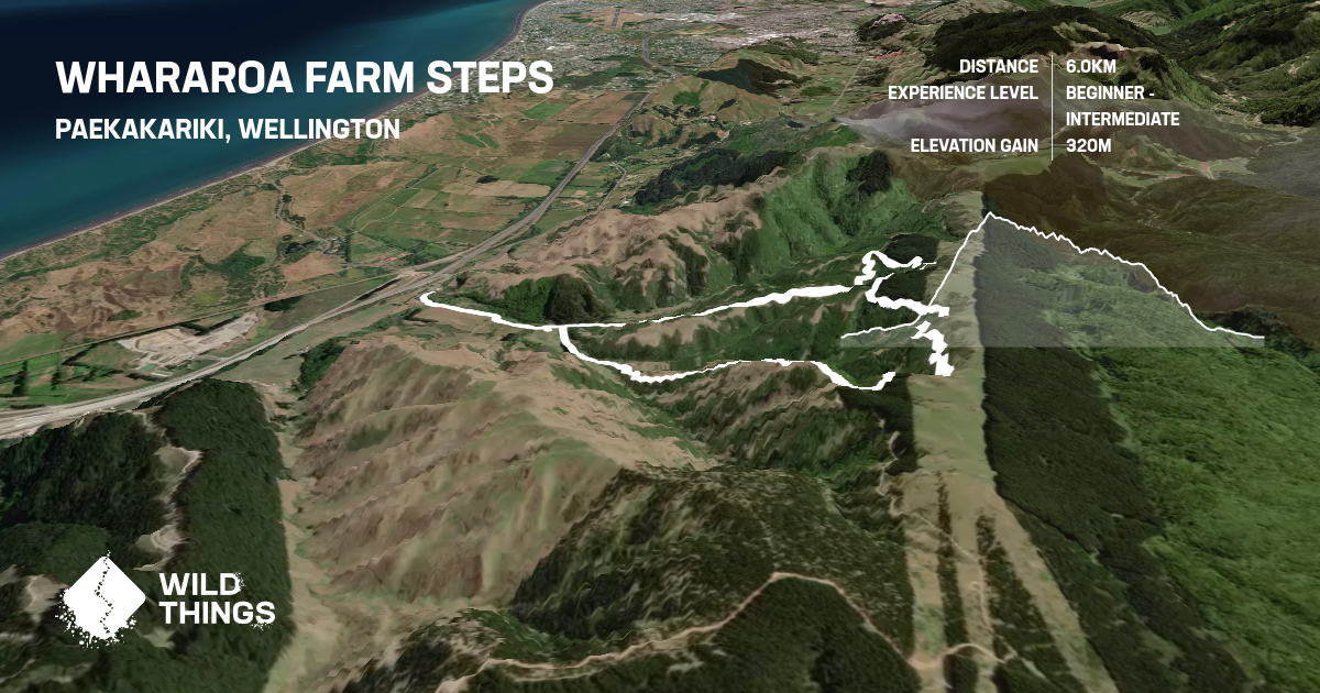 Whararoa Farm Steps, Wellington, New Zealand - Trail Running Directory ...