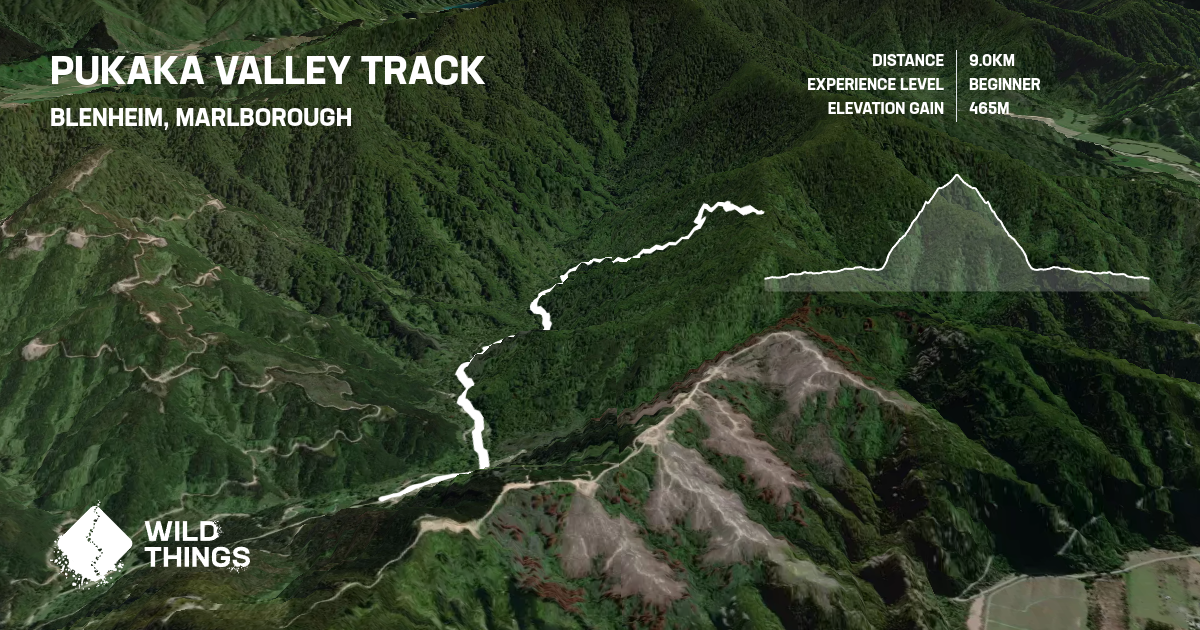 Pukaka Valley Track, Marlborough, New Zealand - Trail Running Directory ...