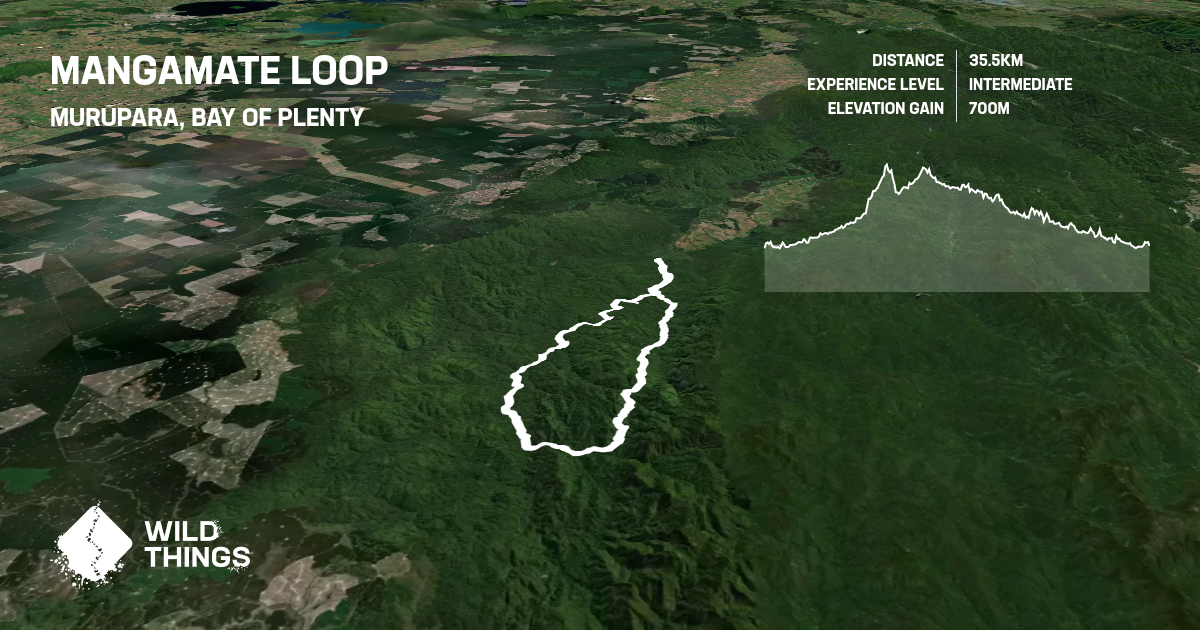 Mangamate Loop, Bay of Plenty, New Zealand - Trail Running Directory ...