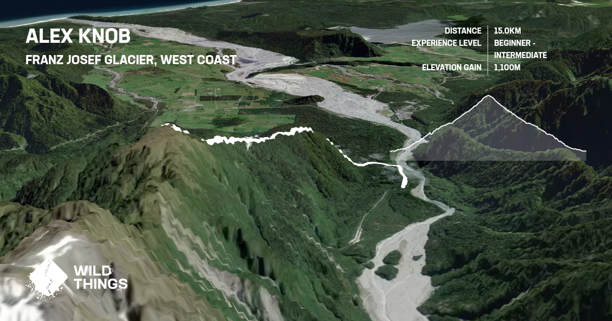 Alex Knob, West Coast, New Zealand - Trail Running Directory - Wild Things