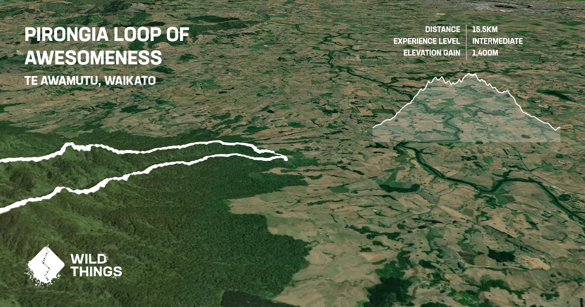 Pirongia Loop of Awesomeness, Waikato, New Zealand - Trail Running ...