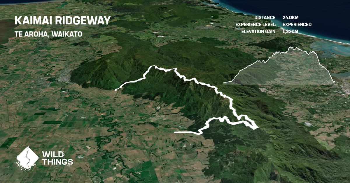 Kaimai Ridgeway, Waikato, New Zealand - Trail Running Directory - Wild ...