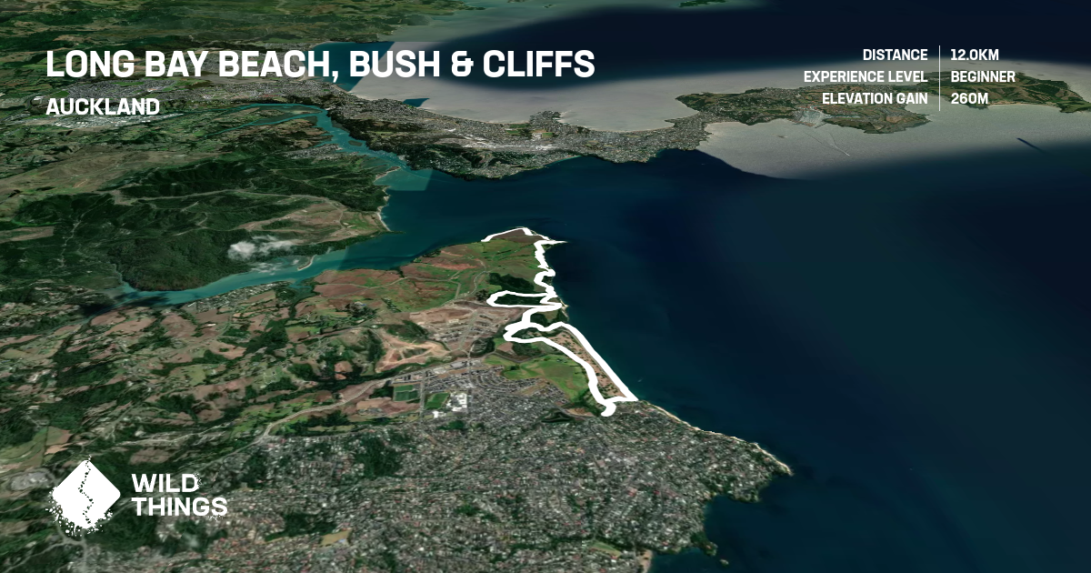 Long Bay Beach, Bush & Cliffs, Auckland, New Zealand - Trail Running ...