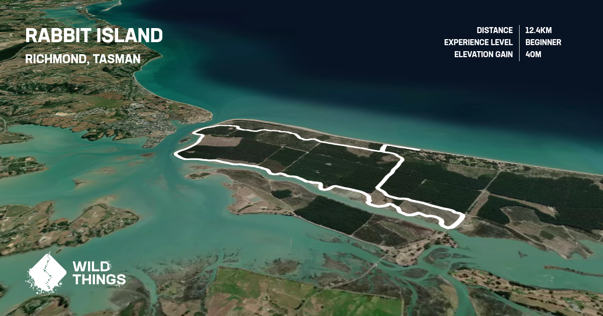 Rabbit Island, Tasman, New Zealand - Trail Running Directory - Wild Things