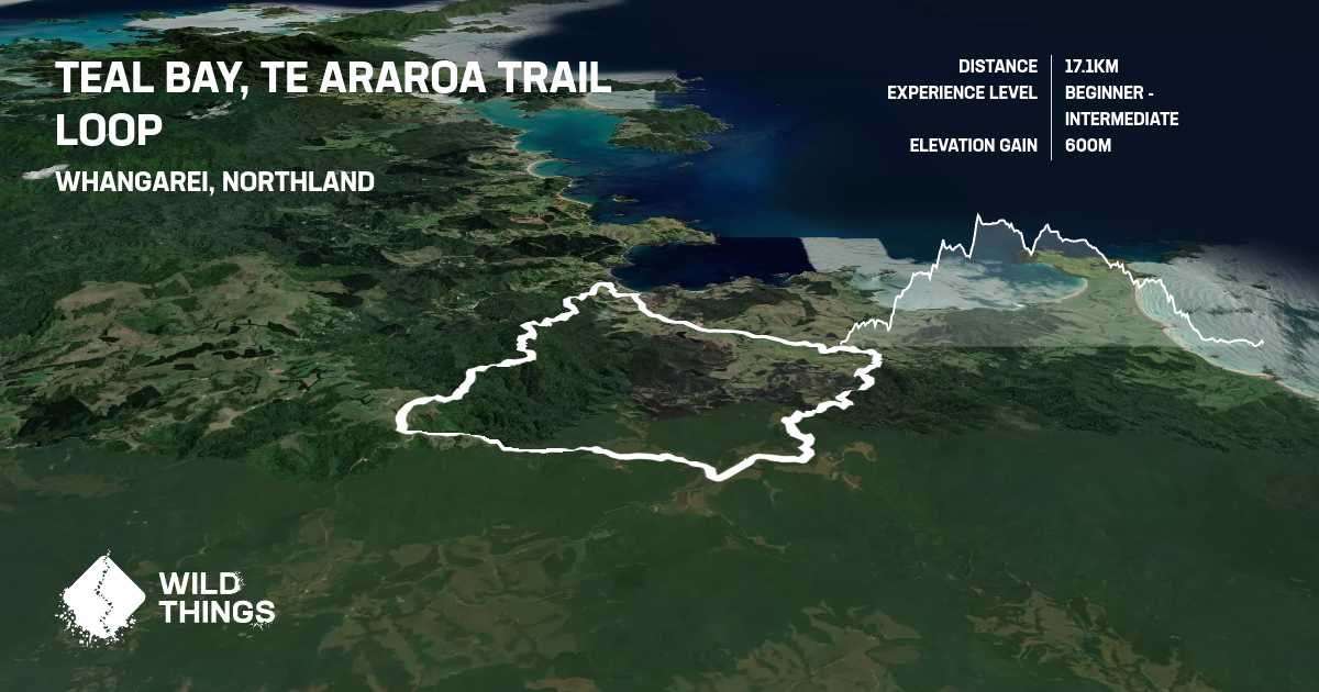 Teal Bay, Te Araroa Trail Loop, Northland, New Zealand - Trail Running ...