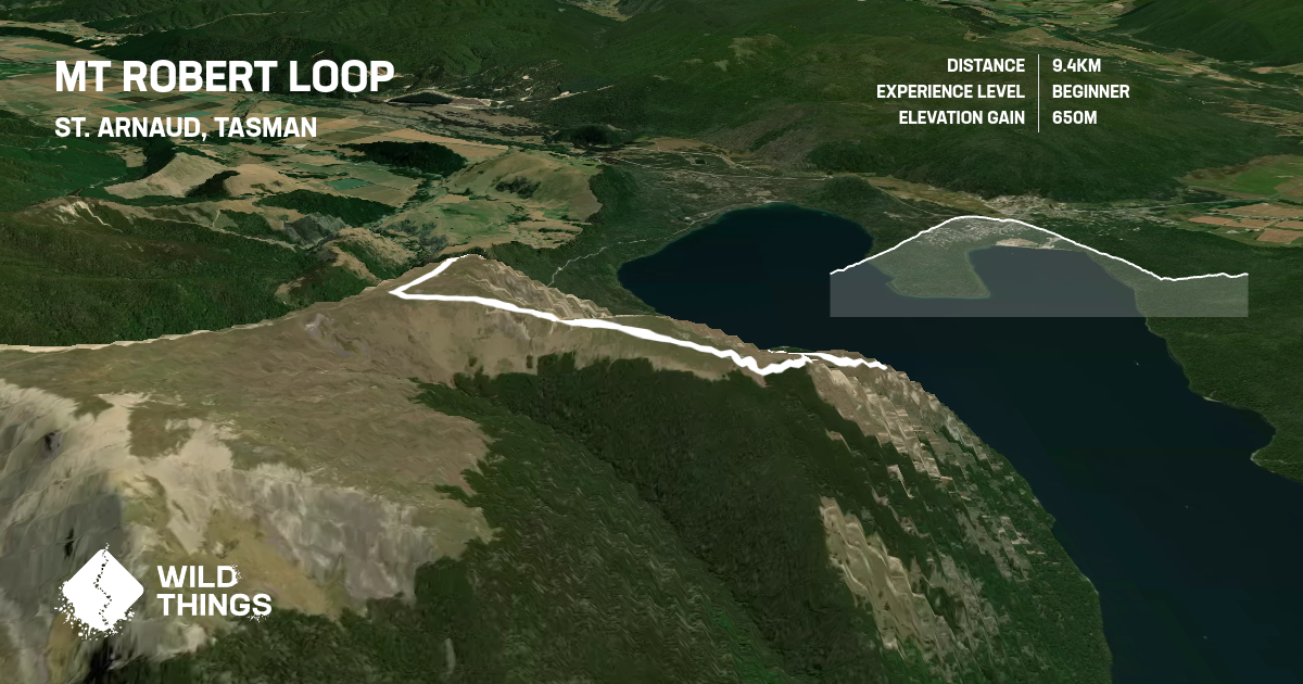 Mt Robert Loop, Tasman, New Zealand - Trail Running Directory - Wild Things