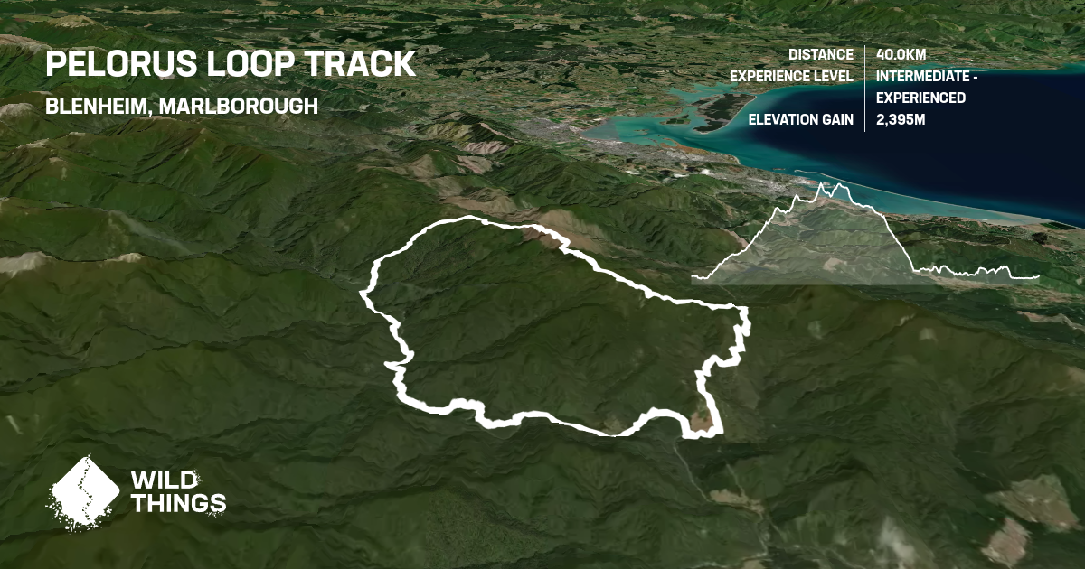 Pelorus Loop Track , Marlborough, New Zealand - Trail Running Directory ...
