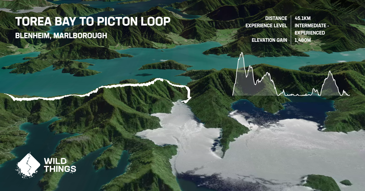Torea Bay to Picton Loop, Marlborough, New Zealand - Trail Running ...