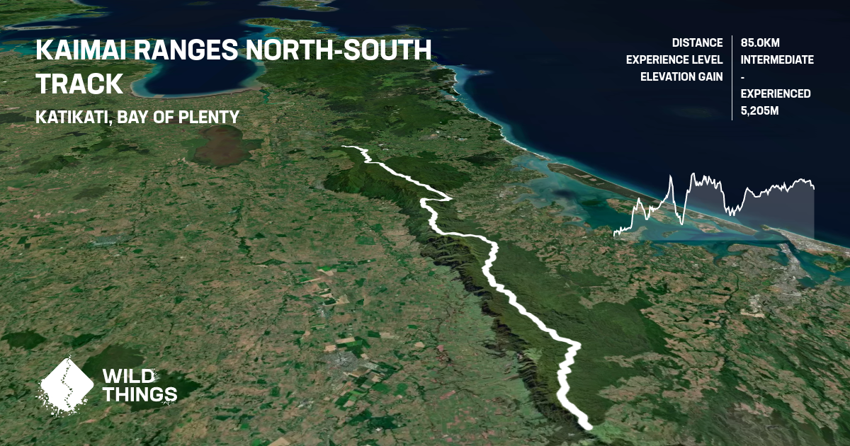 Kaimai Ranges North-South Track, Bay of Plenty, New Zealand - Trail ...