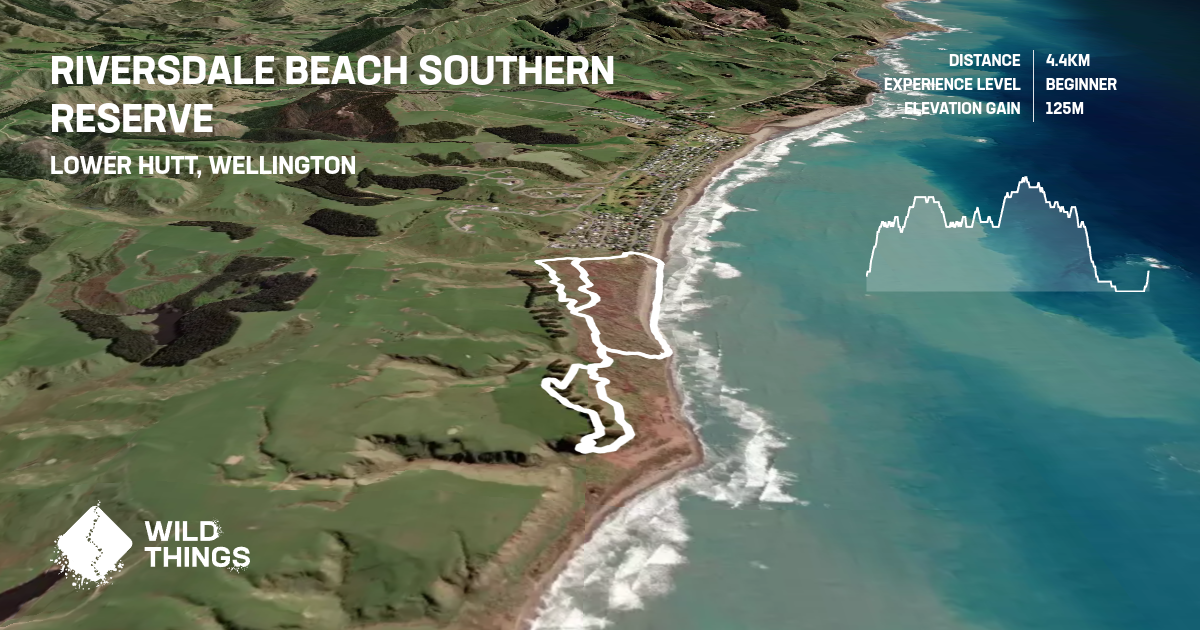 Riversdale Beach New Zealand at Lester Shippy blog