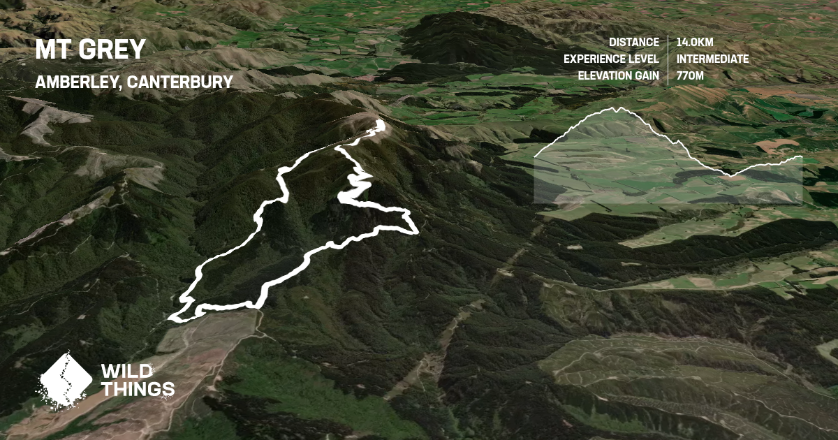 Mt Grey, Canterbury, New Zealand - Trail Running Directory - Wild Things